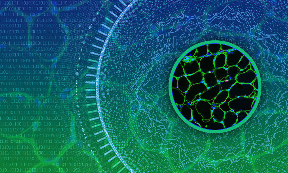 AI and machine learning | EMBL.org