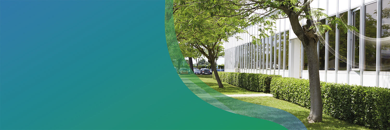 EMBL Rome is an epigenetics and neurobiology centre | EMBL.org