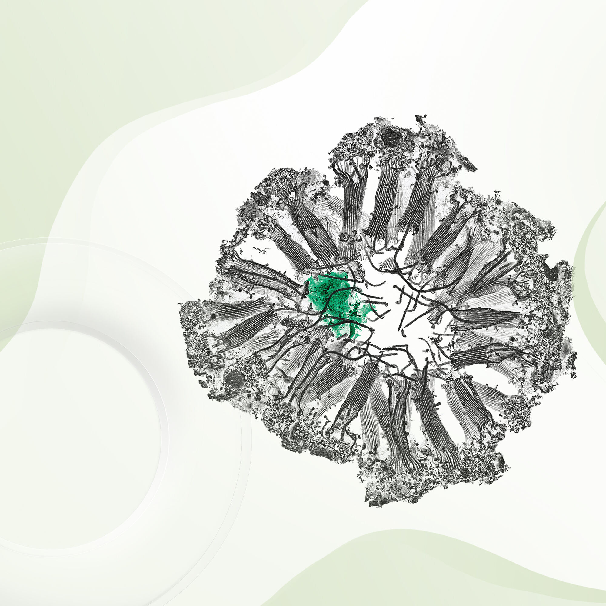 Tara Oceans Science Research | EMBL.org