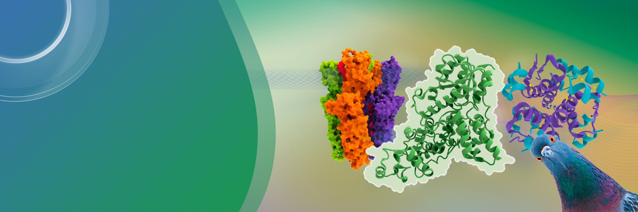 Artwork gallery | EMBL.org