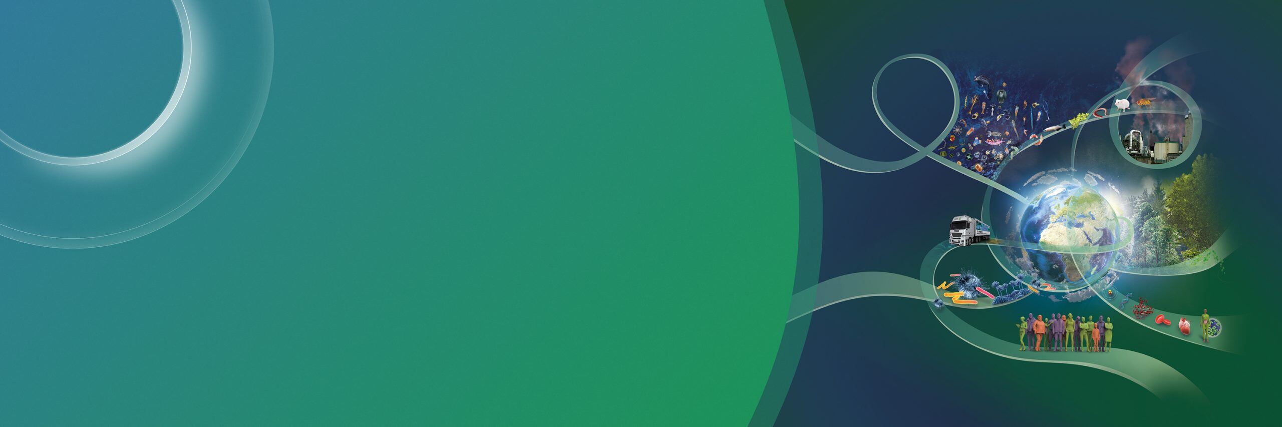 EMBL Programme 2022–26: Molecules to Ecosystems | EMBL.org